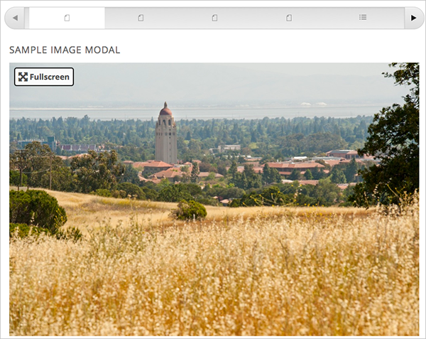 Manage the Full Screen Image Tool — Latest documentation
